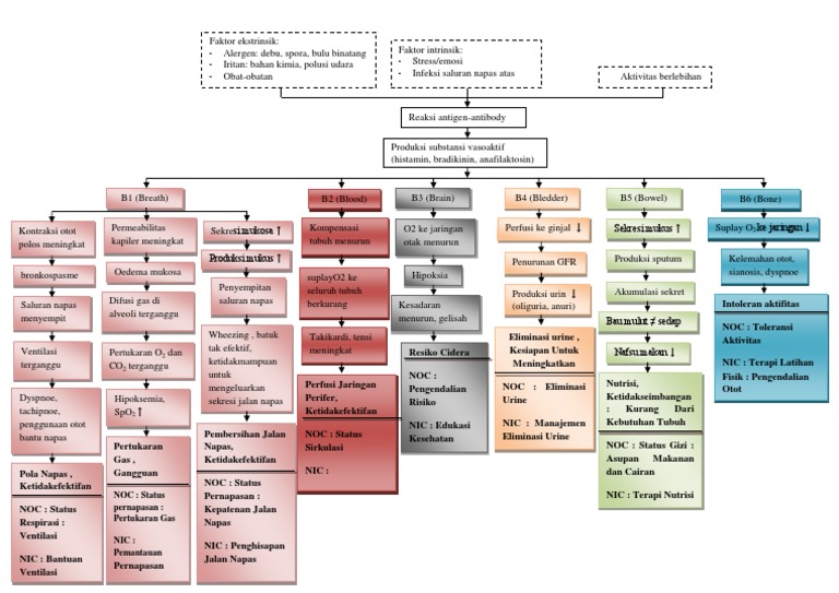 Woc Asma Bronchiale | PDF