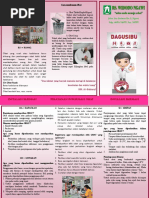 Leaflet Dagusibu | PDF