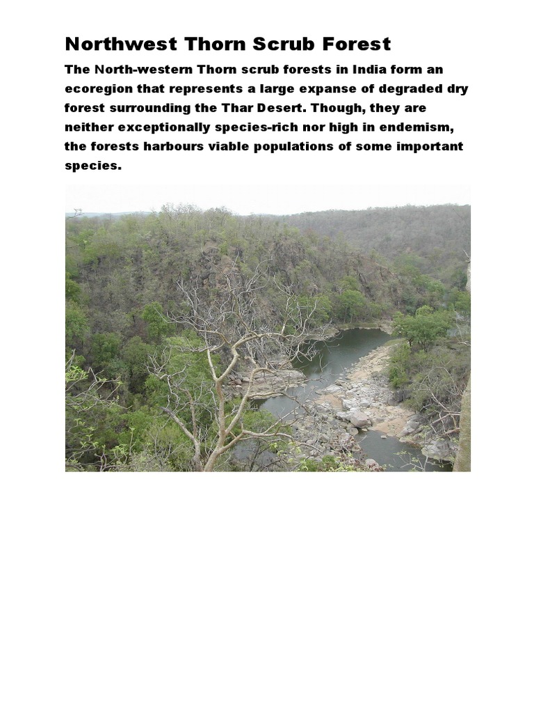 Northwest Thorn Scrub Forest | PDF | Habitat | Systems Ecology