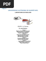 Reflejo Cremastérico: Definición y Ausencia | PDF