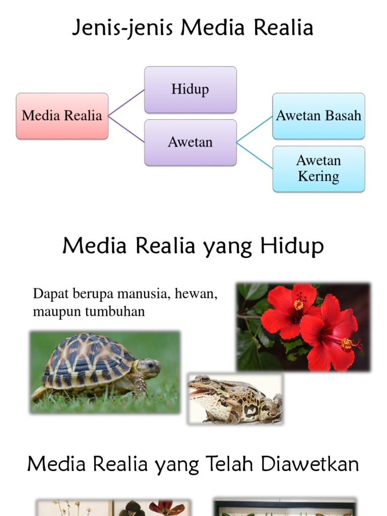 Jenis-Jenis Media Realia | PDF