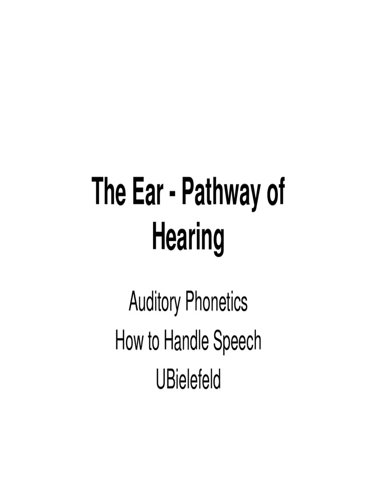 The Ear - Pathway of Hearing: Auditory Phonetics How To Handle Speech ...