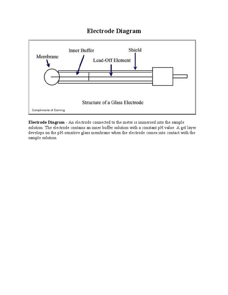 Electrode Diagram: pH Measurement | PDF