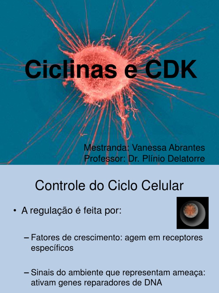 Ciclinas e CDK | PDF | Ciclo de célula | Fator de crescimento