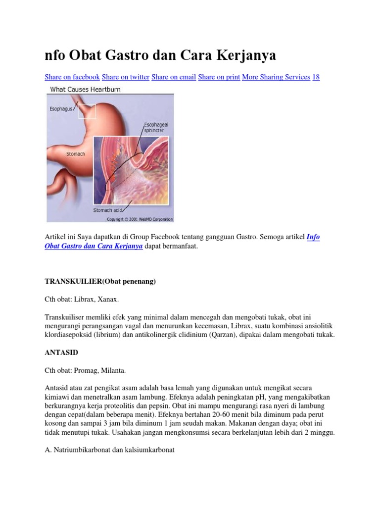 Obat Gastro Dan Cara Kerjanya | PDF