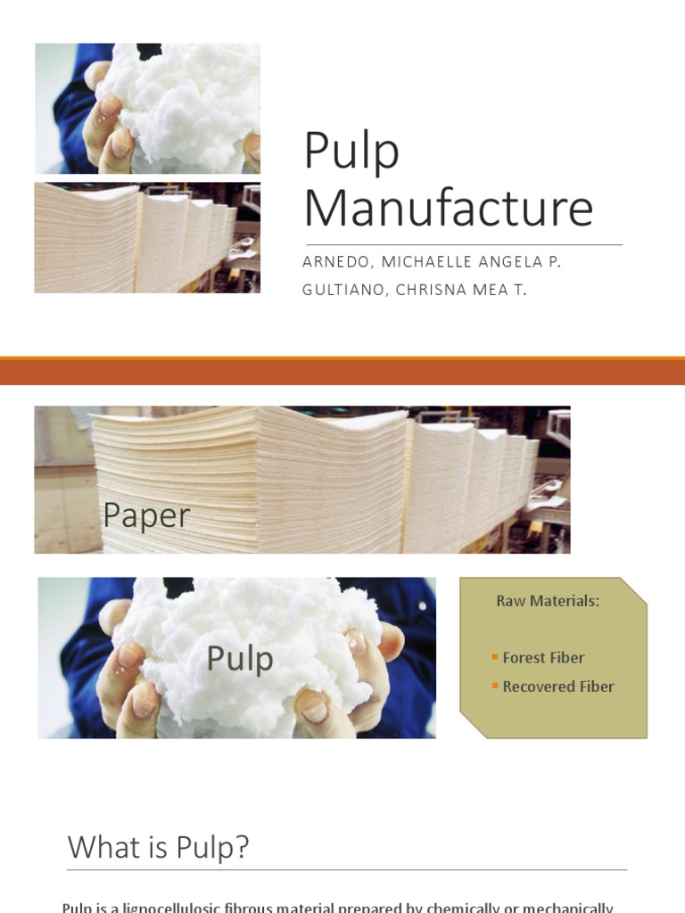 Pulp Manufacture: Arnedo, Michaelle Angela P. Gultiano, Chrisna Mea T ...