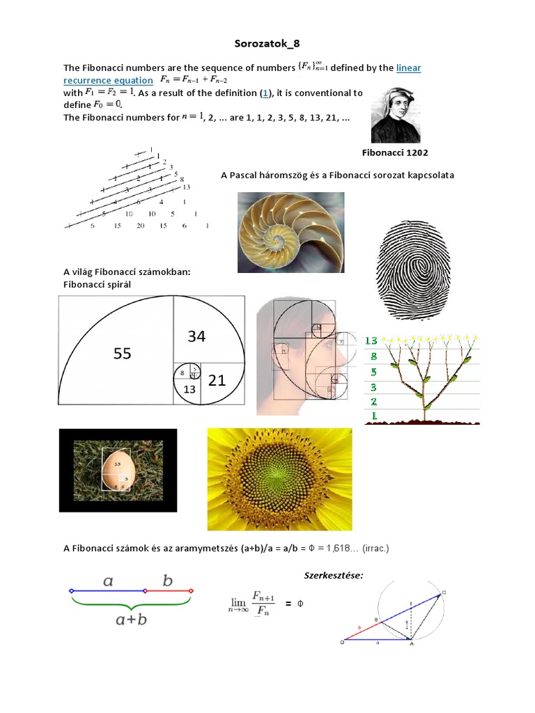 Fibonacci Sorozatok 8 | PDF
