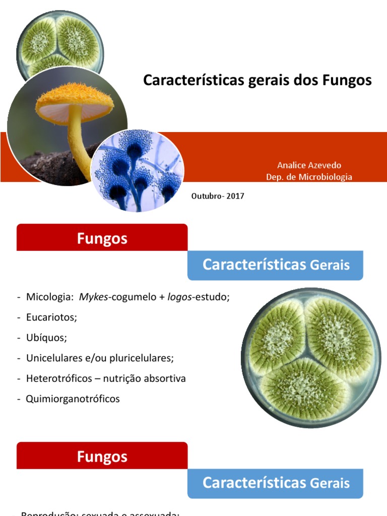 Características Gerais Dos Fungos | Fungo | Célula (Biologia)
