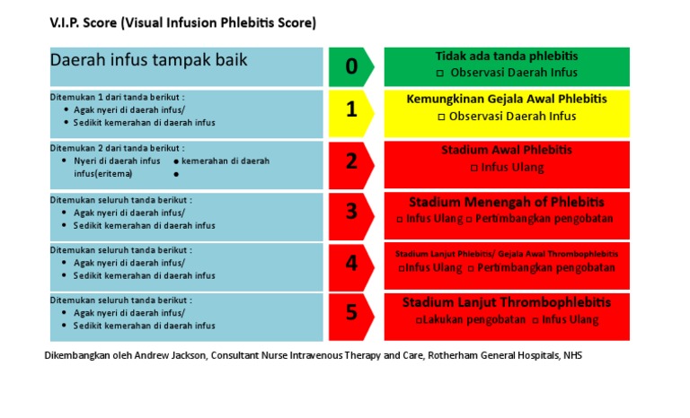 VIP PHlebitis Score | PDF