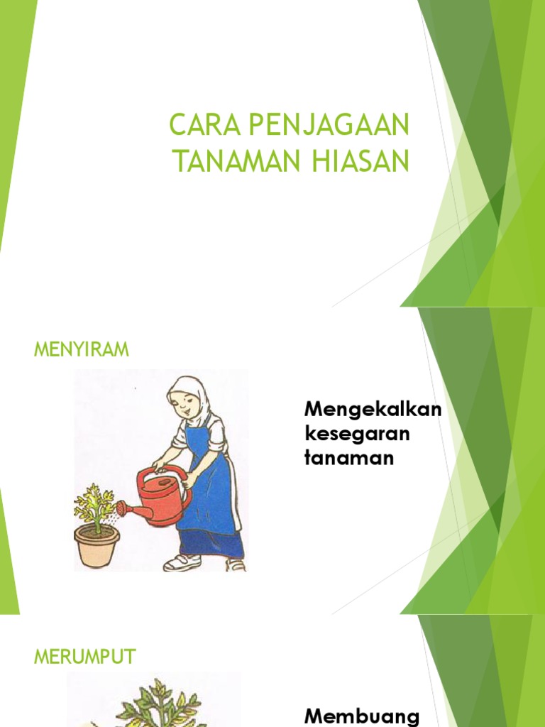 Cara Penjagaan Tanaman Hiasan | PDF