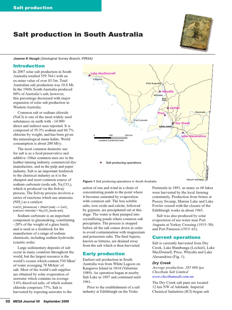 Salt Production in South Australia | PDF | Sodium Carbonate | Sodium ...