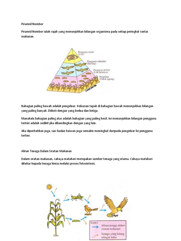 Piramid Aliran Tenaga | PDF