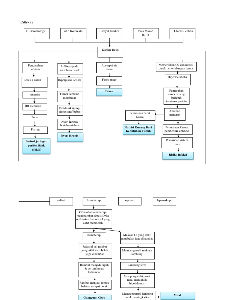 Pathway CA Recti Fix | PDF