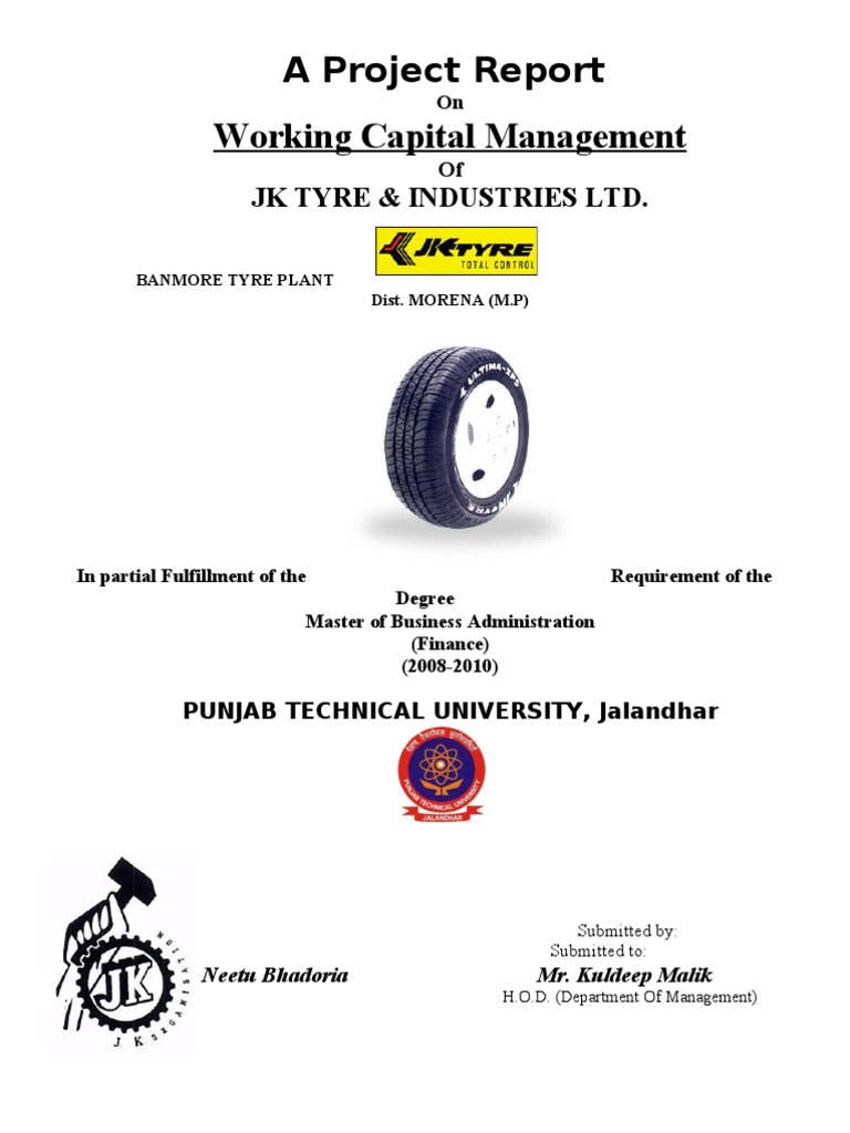 Neetu Project | Download Free PDF | Working Capital | Inventory