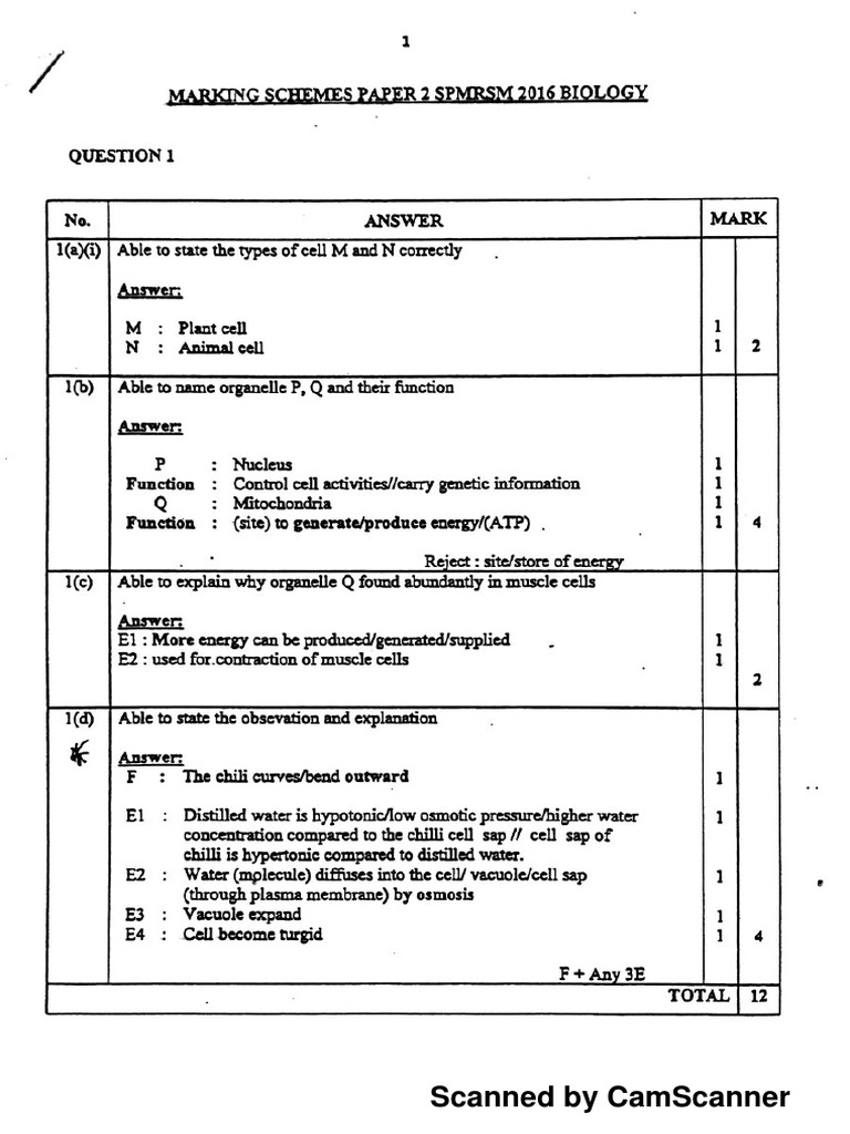 A collection of blank pages scanned by CamScanner | PDF
