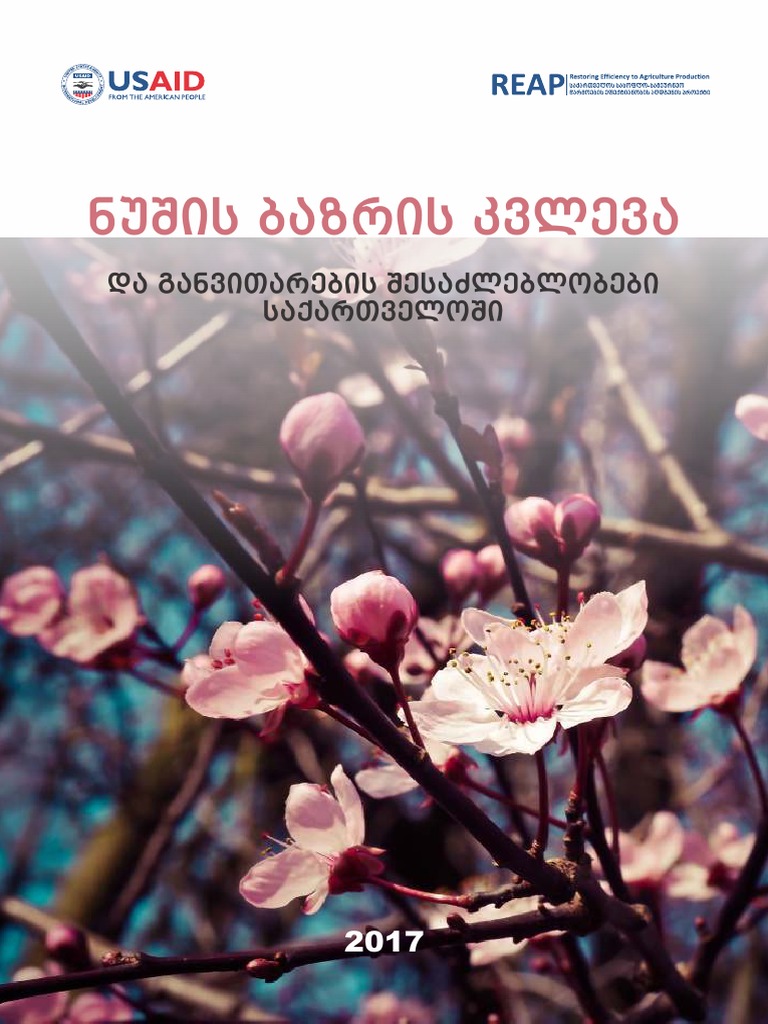 Almond Market Research | PDF