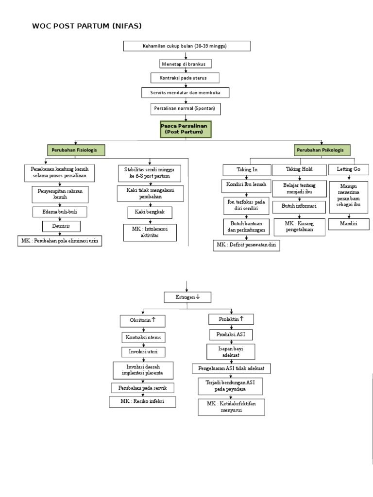 Woc Post Partum | PDF