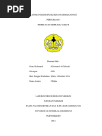 Kelompok 4 IDENTIFIKASI MAKROSKOPIS DAN MIKROSKOPIS RHIZOMA, FLOS, FRUCTUS DAN SEMEN | PDF