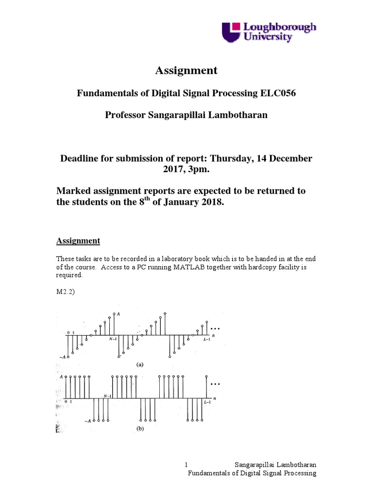 DSP Coursework Brief | PDF | Digital Signal Processing | Signal Processing