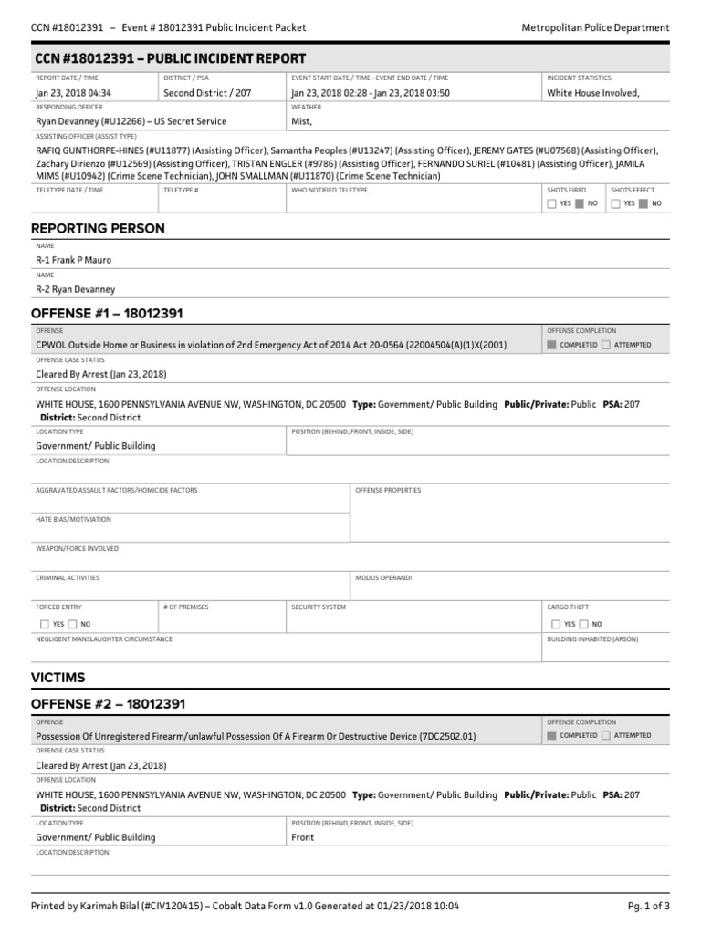 MPD Police Report | Manslaughter | Theft