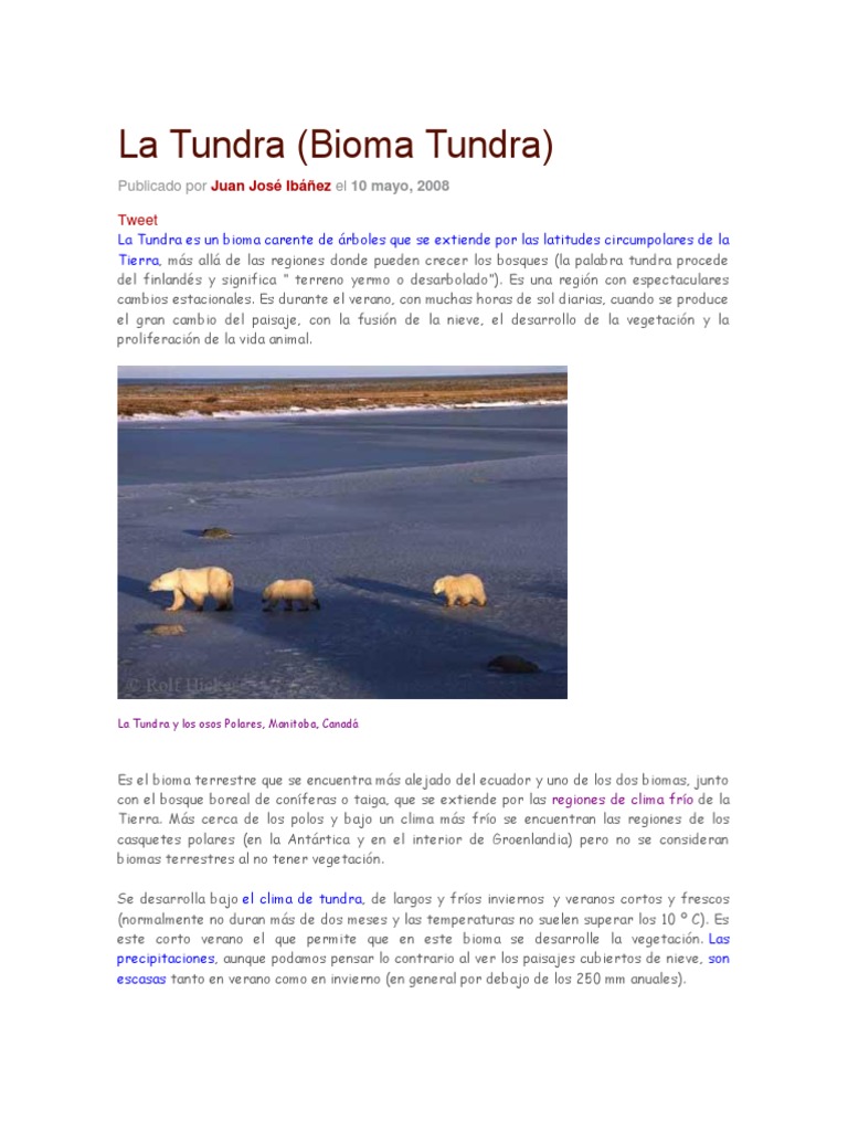 La Tundra | PDF | Clima | Ciencias de la Tierra