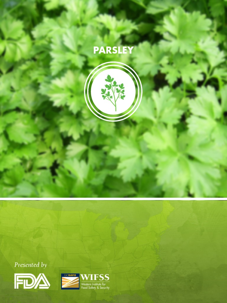 Parsley PDF | Download Free PDF | Parsley | Botany
