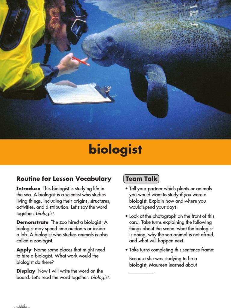 Adelinas Whales Voc PDF | PDF | Cliff | Biologist