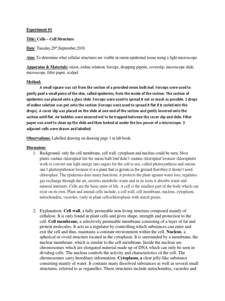 Csec 1 Cell Structure Pdf Cell Nucleus Cell Biology