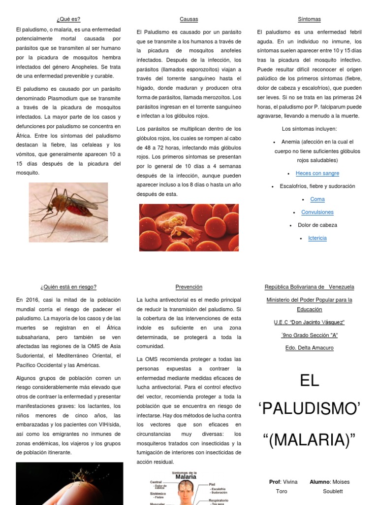 Triptico Paludismo | PDF | Malaria | Medicina Veterinaria