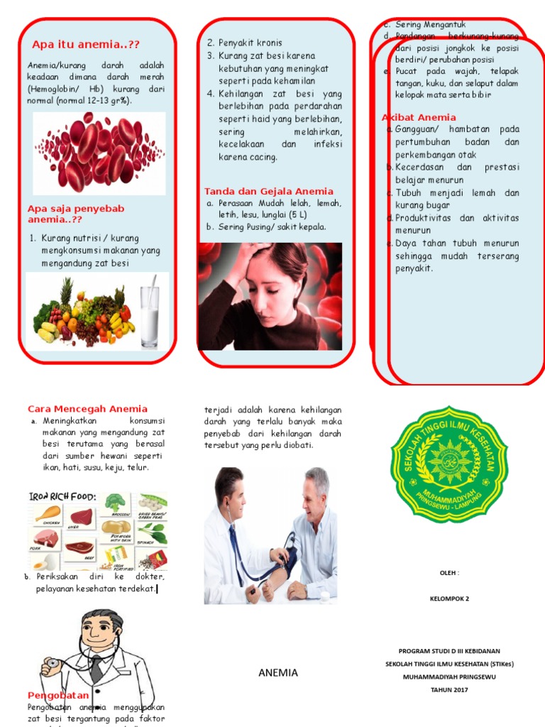 Leaflet Anemia | PDF