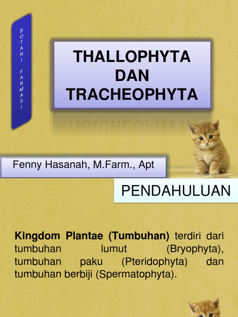 Thallophyta Dan Tracheophyta | PDF | Sains & Matematika
