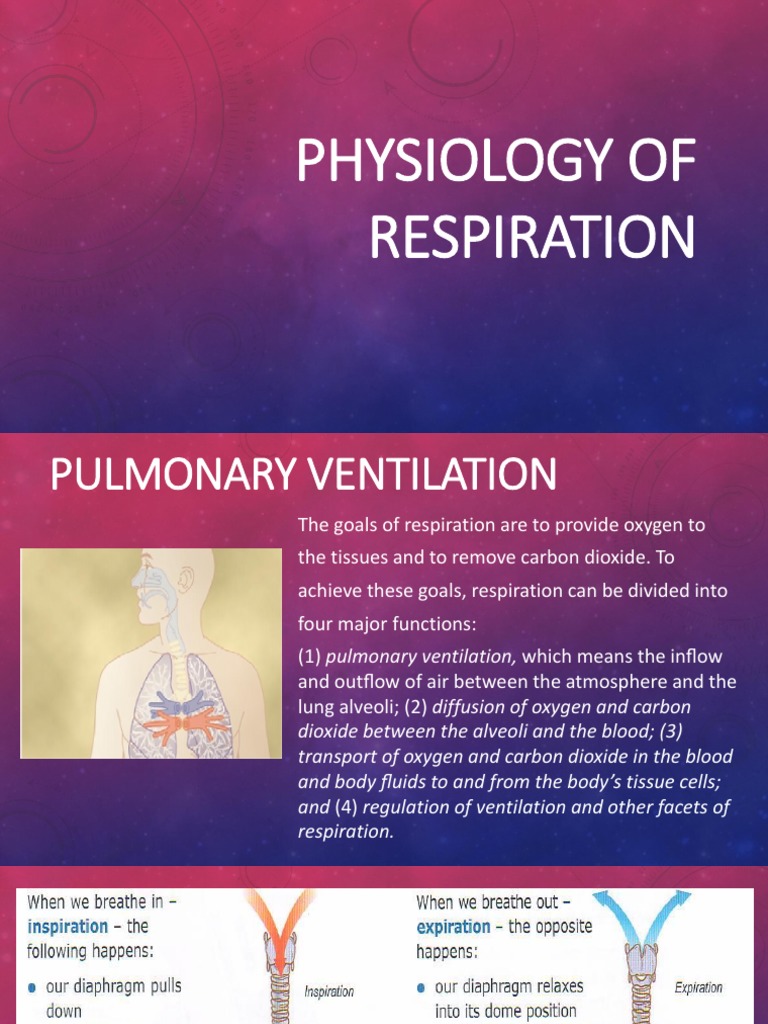 Physiology of Respiration | PDF | Lung | Breathing