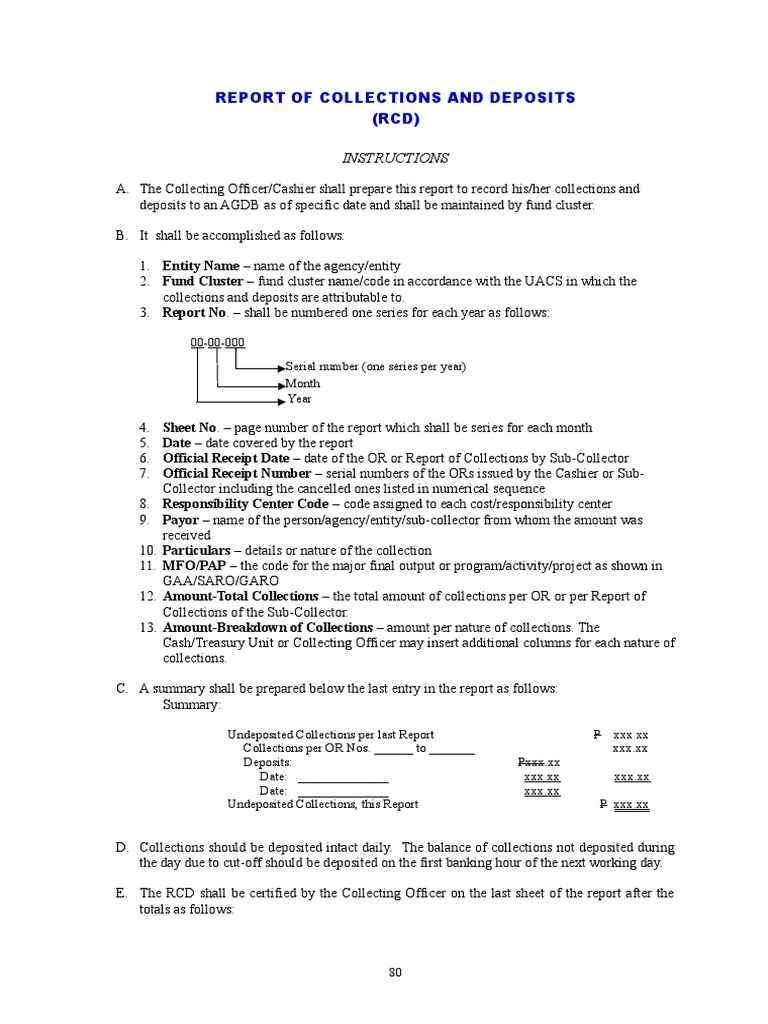 Monthly RCD Report Guidelines | PDF | Government | Business
