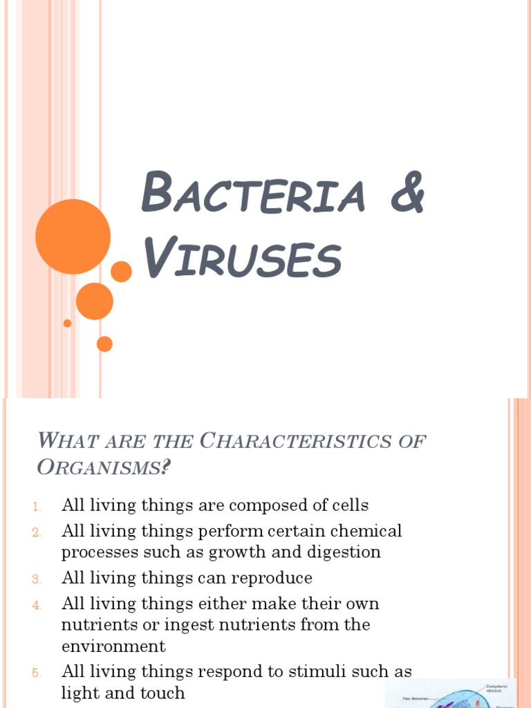 Bacteria and Viruses Notes | Infection | Public Health