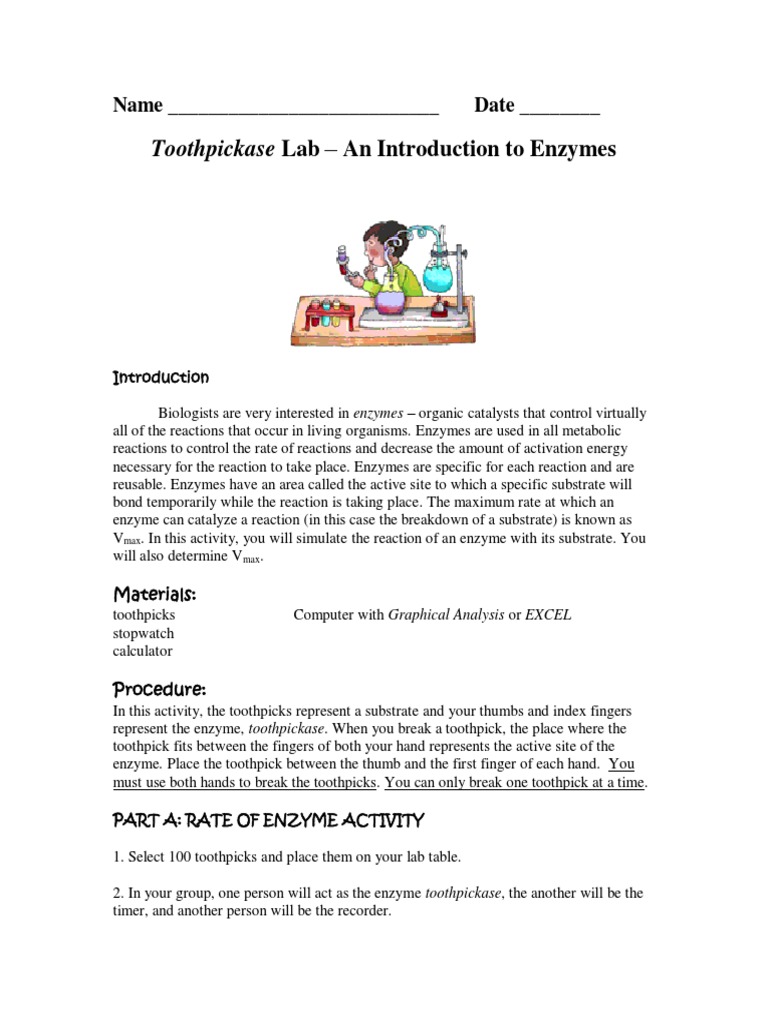 Introduction to Enzymes Using Toothpicks | PDF | Active Site ...
