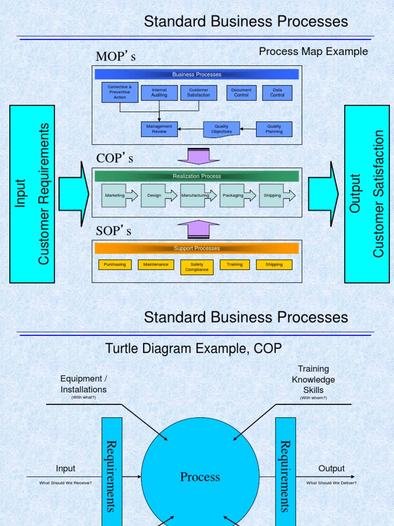 Turtle Diagram for Standard Processes | PDF | Business Process ...