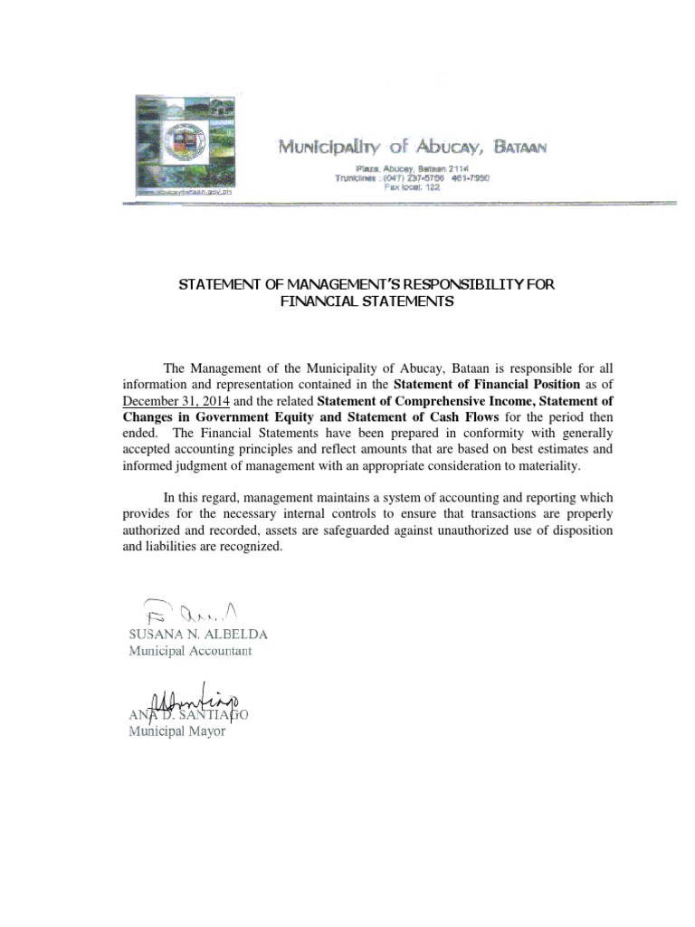 Statement of Management'S Responsibility For Financial Statements | PDF