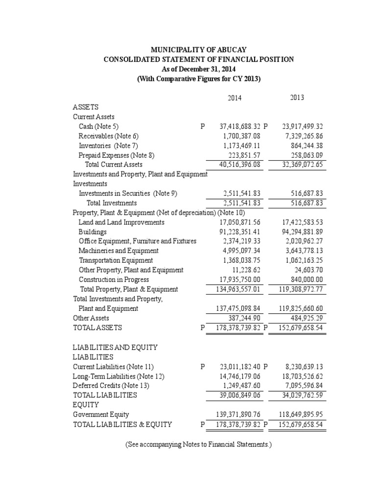 Abucay Municipality Financial Statements 2014 | PDF | Expense | Fixed Asset