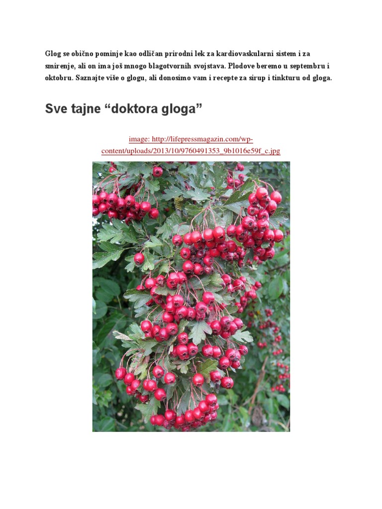 Glog | PDF
