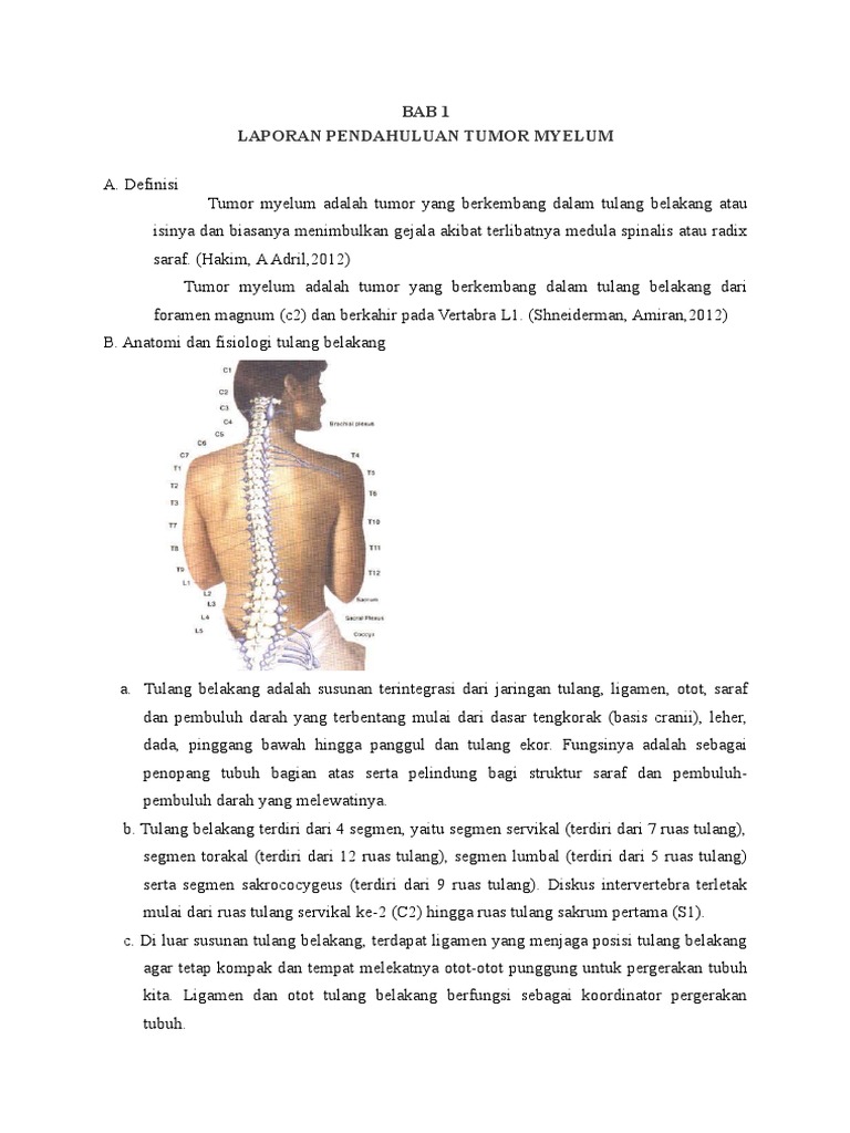 LP Tumor Myelum | PDF