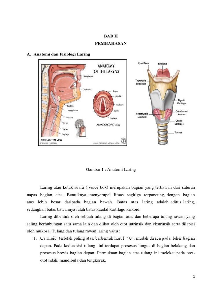 Askep CA Laring Dan Perawatan Trakeostom | PDF
