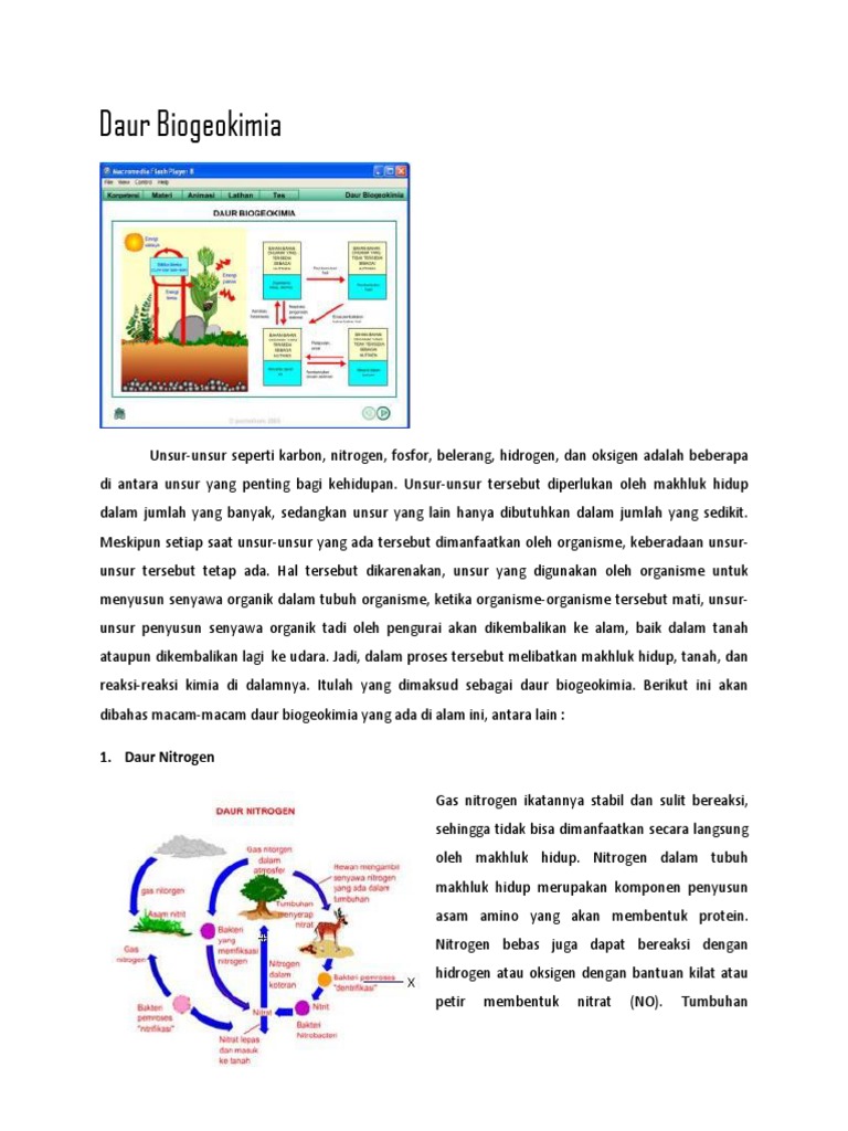Daur Biogeokimia Pdf
