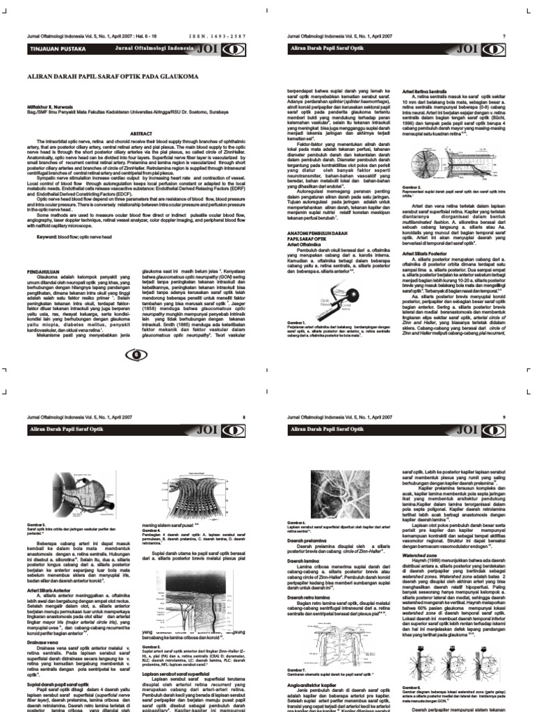 Aliran Darah Papil Saraf Optik Pada Glaukoma PDF | PDF