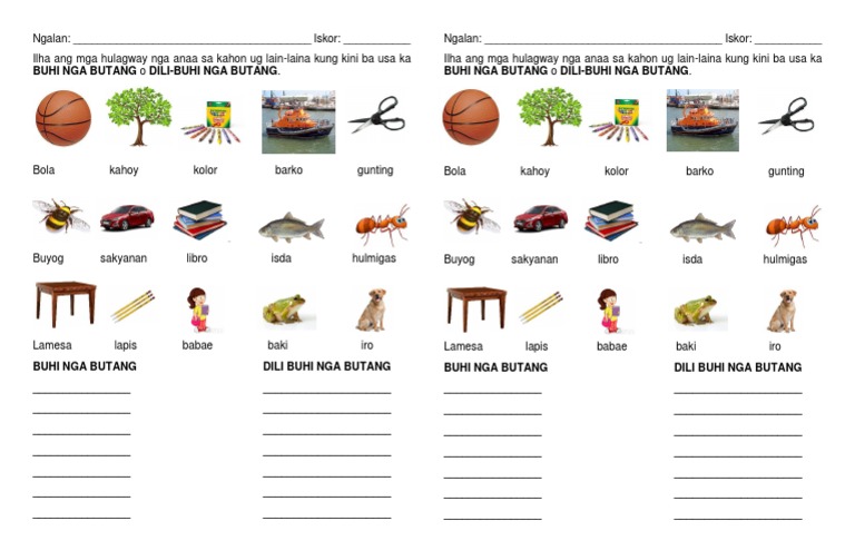 Worksheet | PDF