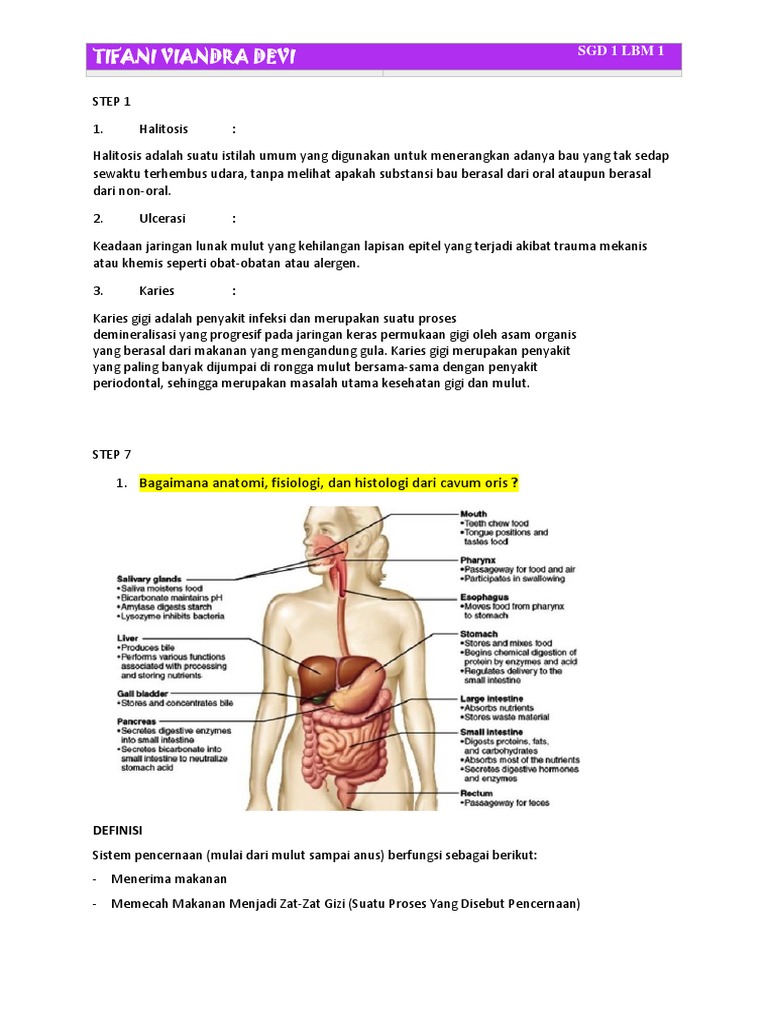 Modul GIT LBM 1 | PDF