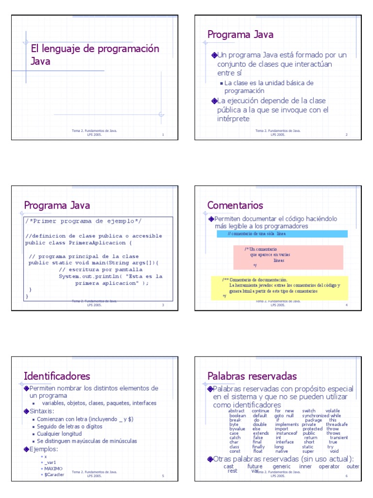 Tema 2 Fundamentos De Java Pdf Java Lenguaje De Programación