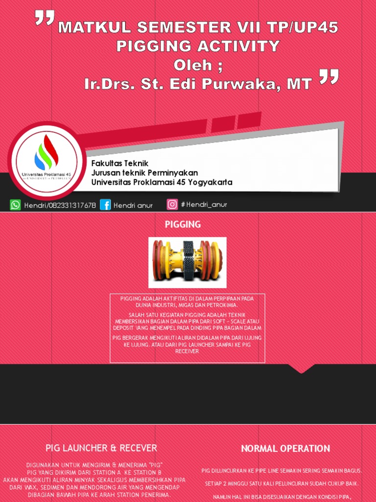 Pigging Activity | PDF