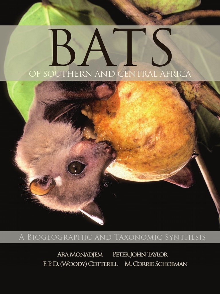 Bats of Southern and Central Africa | Bat | Species