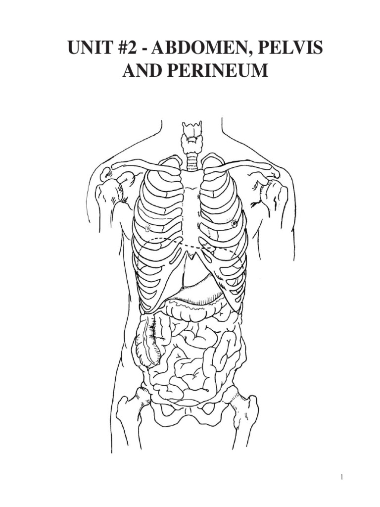 GA - Lecture Syllabs Unit2 | PDF | Uterus | Abdomen