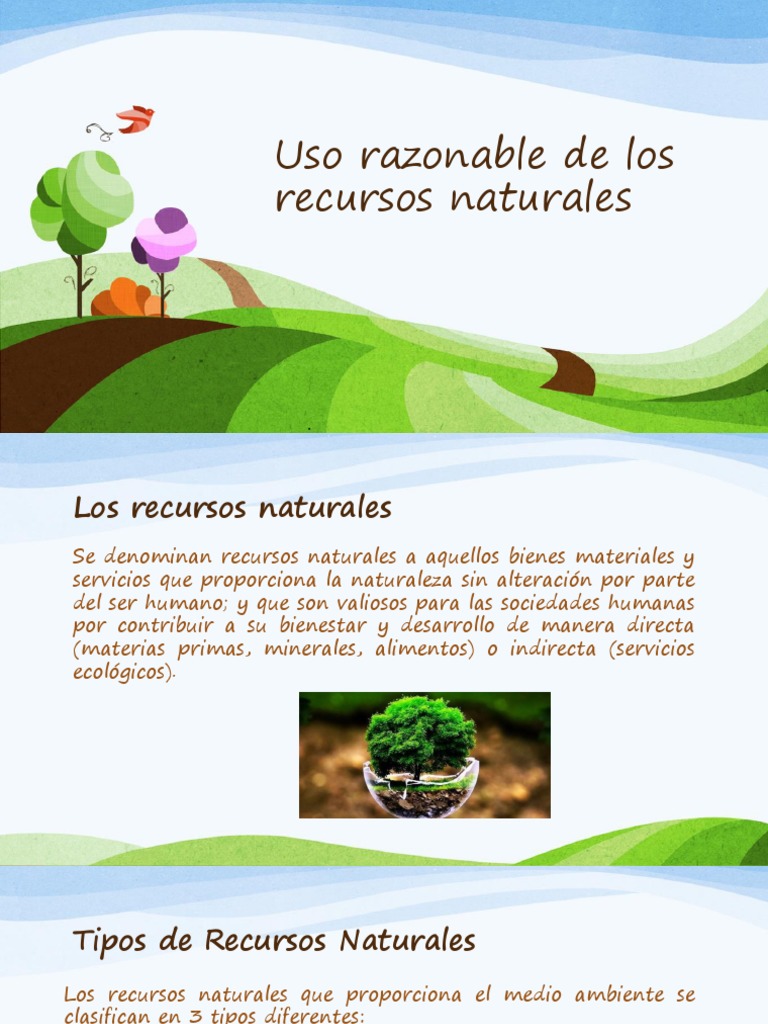Uso Razonable de Los Recursos Naturales | PDF | Desarrollo sostenible ...